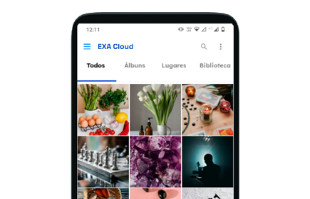 EXA Cloud: Upload, Backup e Criptografia de Ponta | Giga+